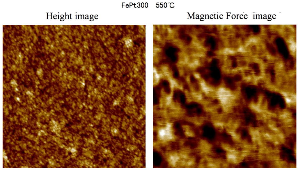 FSM Nanoview 1000-2000 | LabTrek